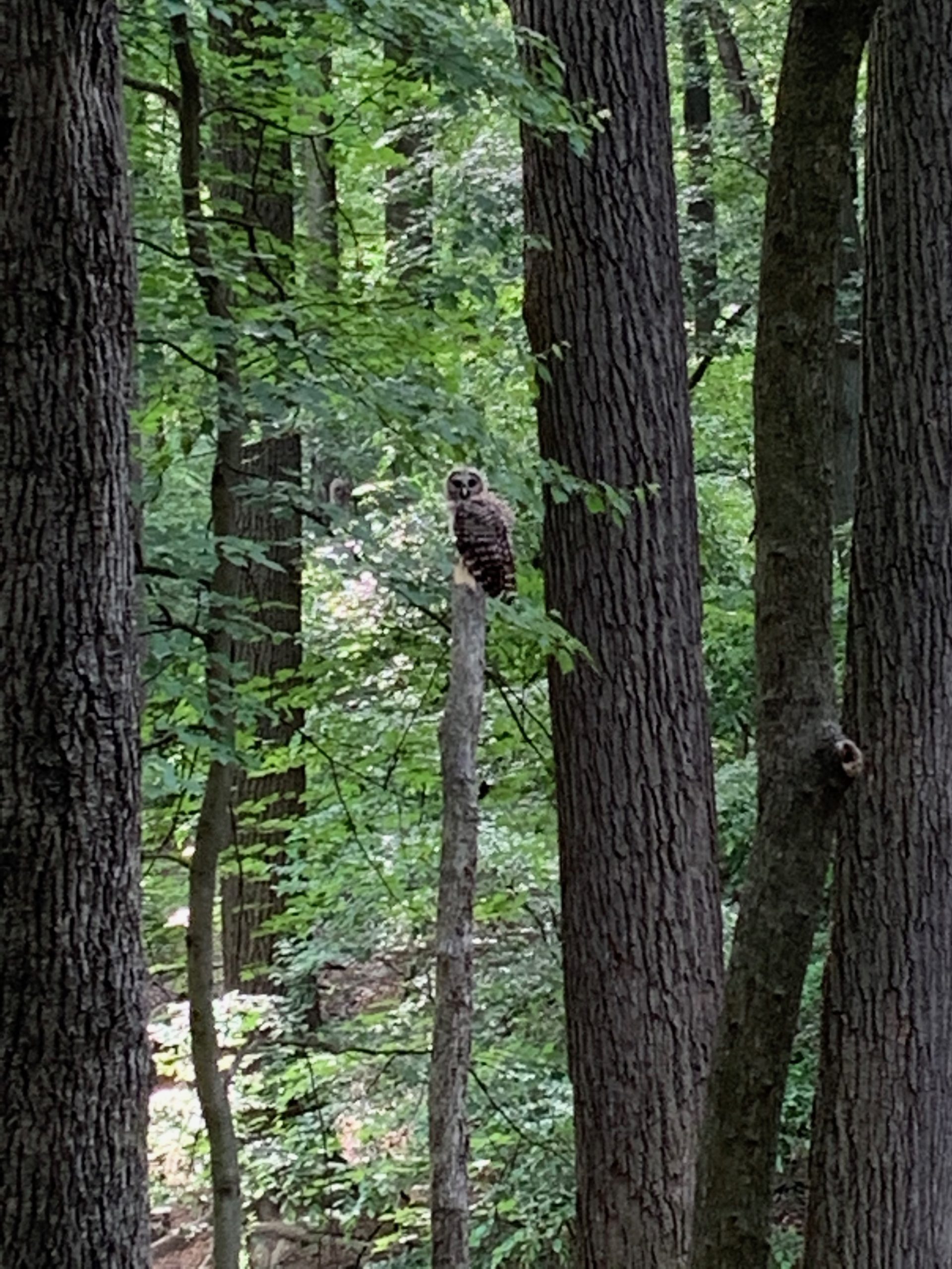 IMG_0242 – Jamie Todd Rubin