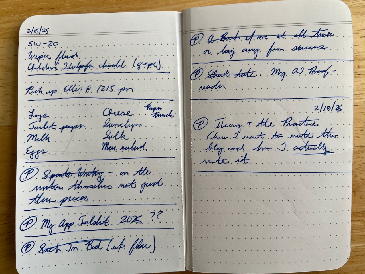 The Theory and the Practice – Jamie Todd Rubin